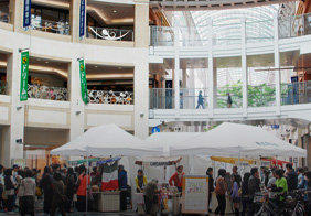 Experience Takamatsu - A tourist guide of Shikoku, Japan.